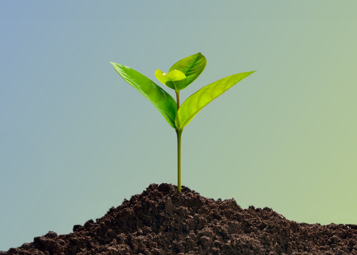 Giving back to nature